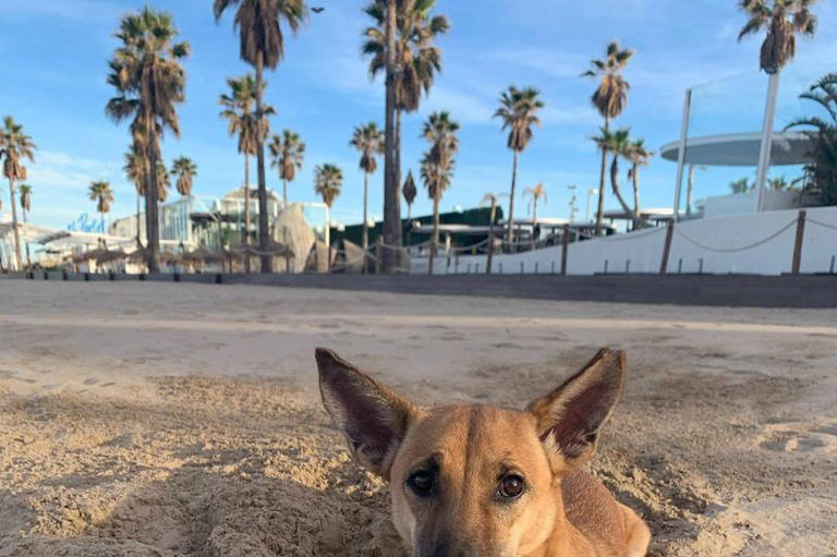 EastEnders' Samantha Womack admits quitting UK after 'one of the worst ...