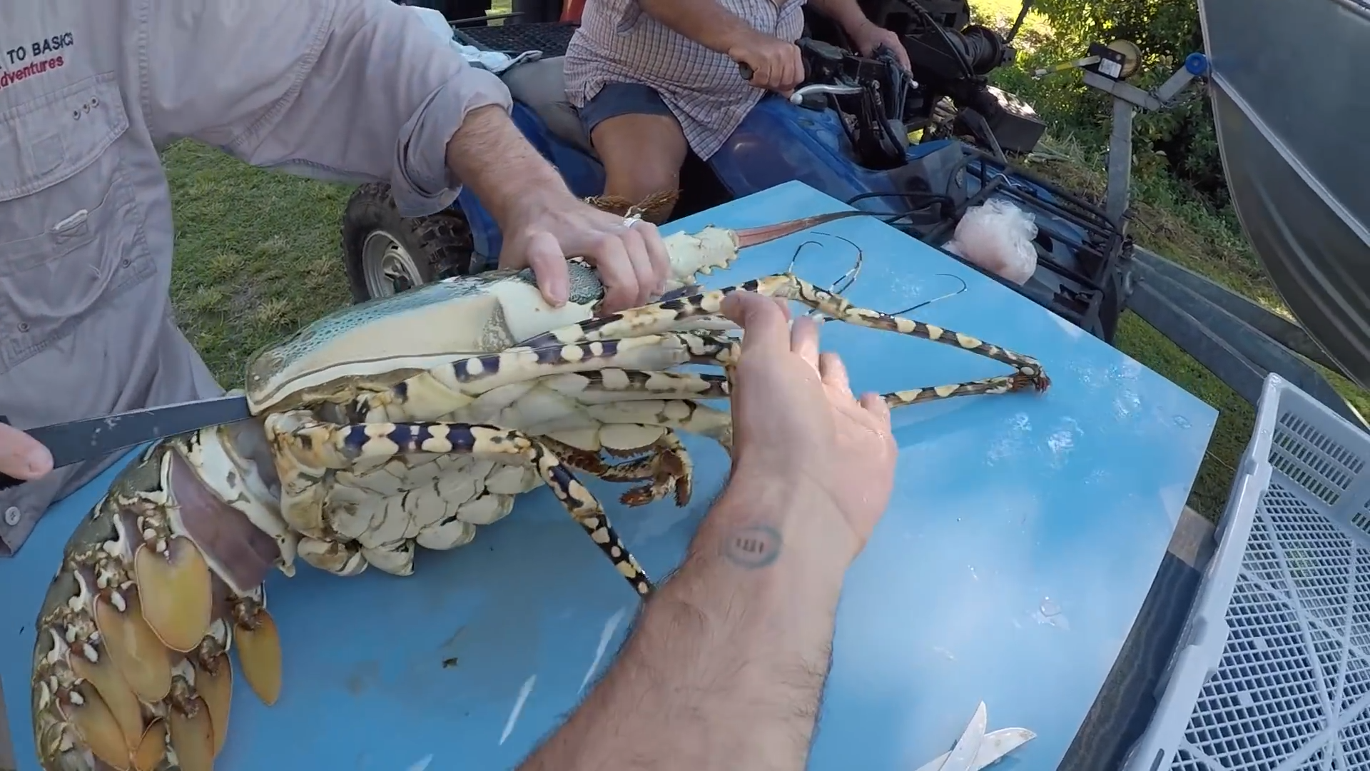 This island doesn’t forgive mistakes - you catch or you go hungry