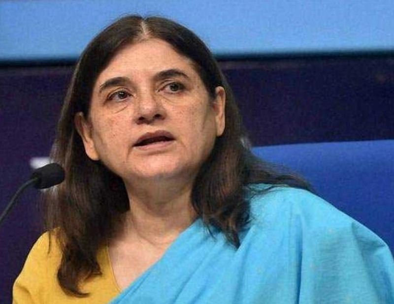 Stray dog menace: SC takes exception to Maneka Gandhi’s comments ...