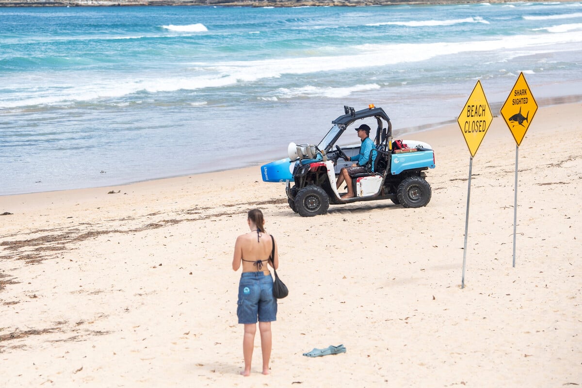 Australia "rattled" by spree of shark attacks after fourth incident in ...