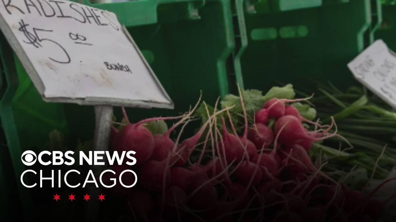Chicago area community groups get grants to improve healthy food access