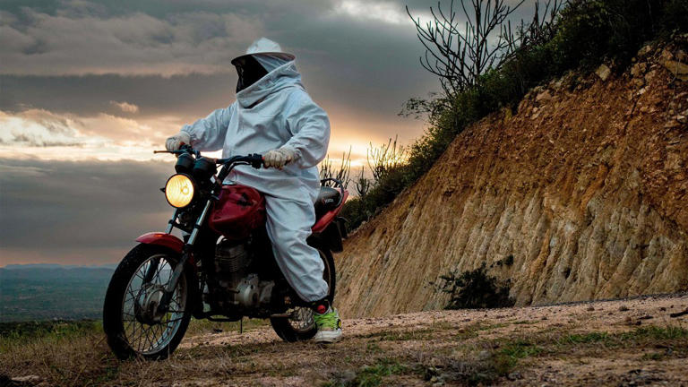 'Yellow Cake' fuses pulpy, political sci-fi with Brazil folklife ...