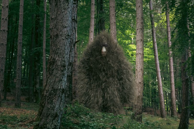 'Bigfoot' sighting at Staffordshire beauty spot as dad says 'it moved ...