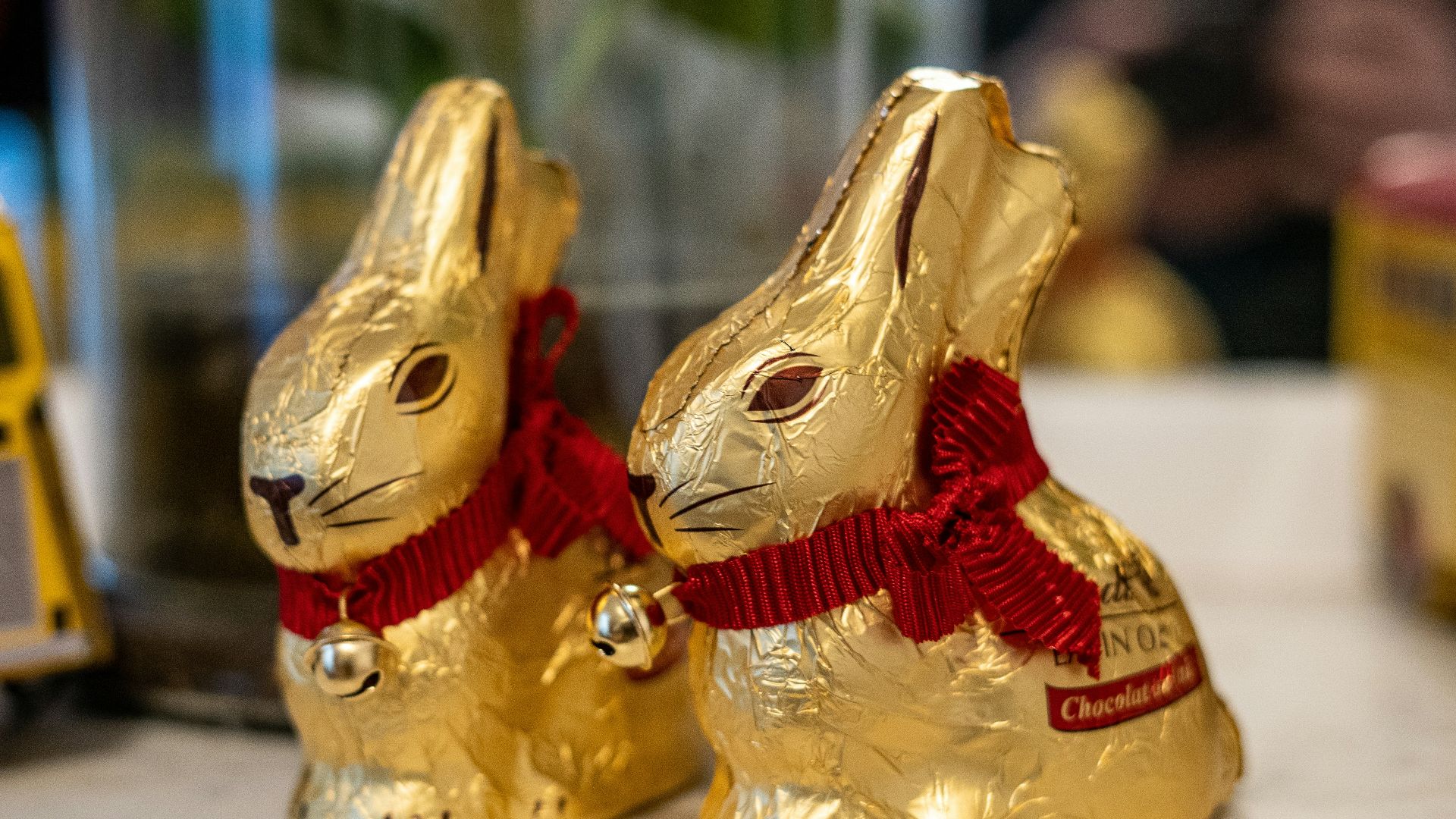 20 best chocolate brands ranked best to worst