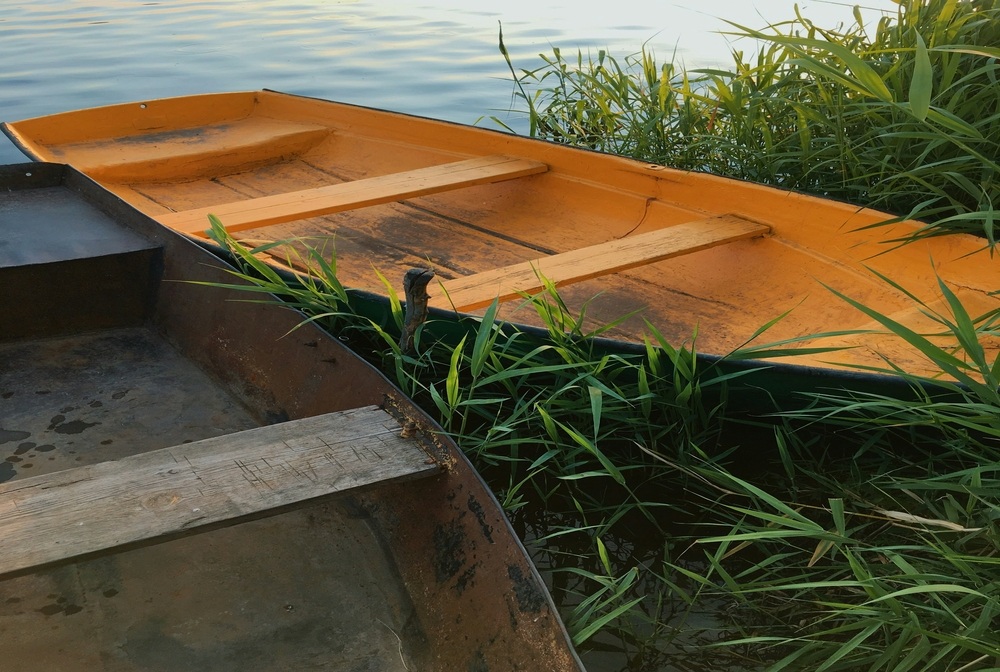 Cajun traditions in the Louisiana swamps