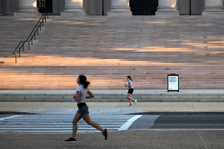 One in five Americans report no physical activity outside work