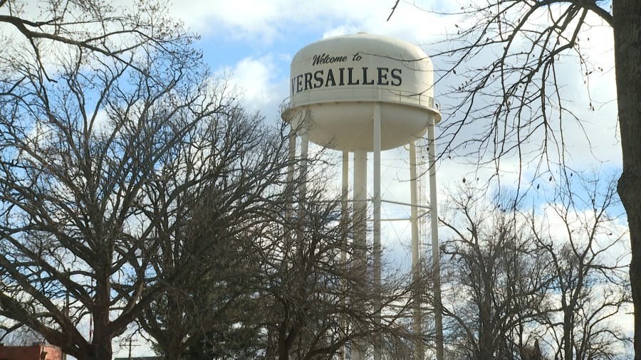 Woodford County tree-planting initiative aims to revitalize ecosystem