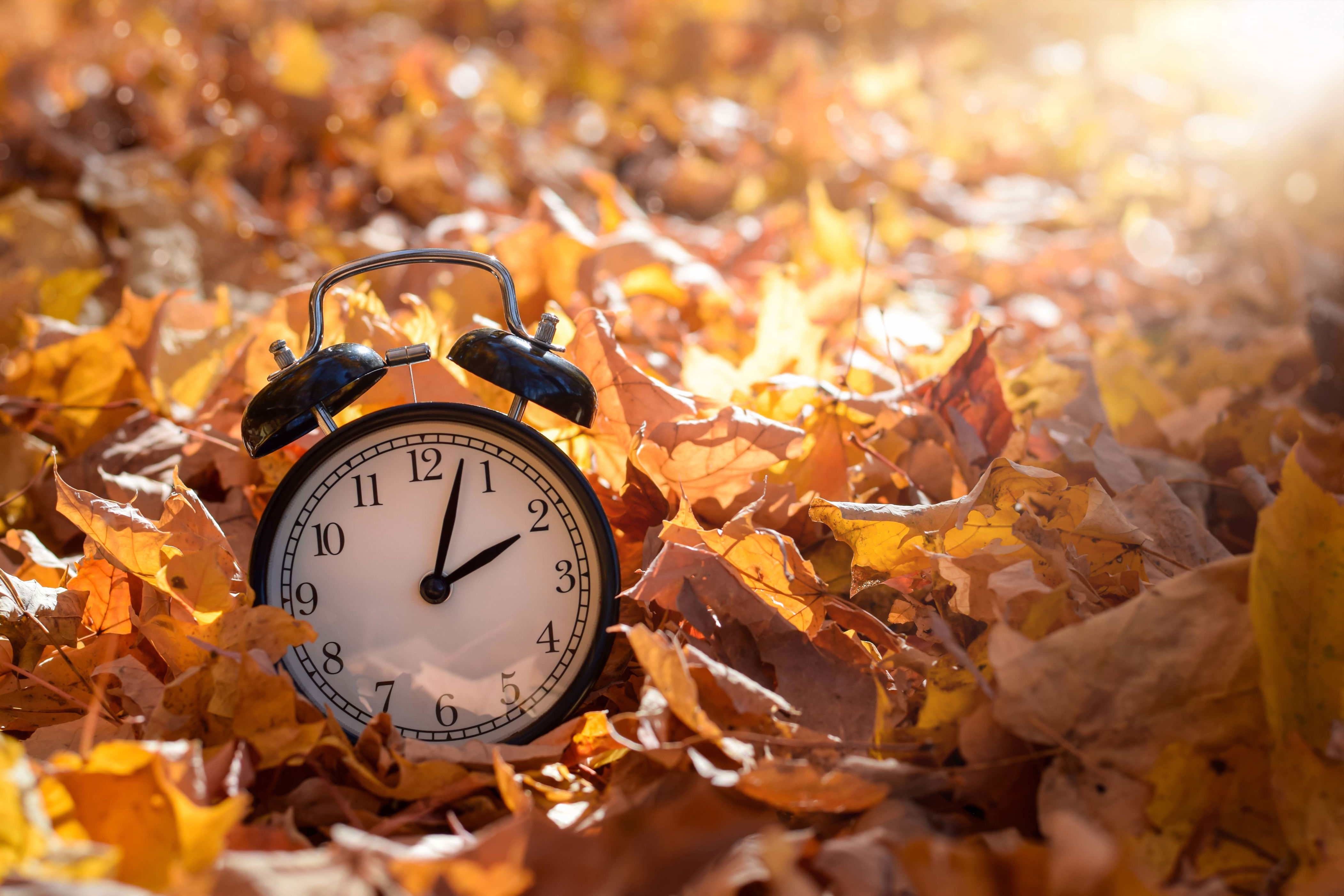 Is daylight saving time starting soon? When do clocks spring forward?