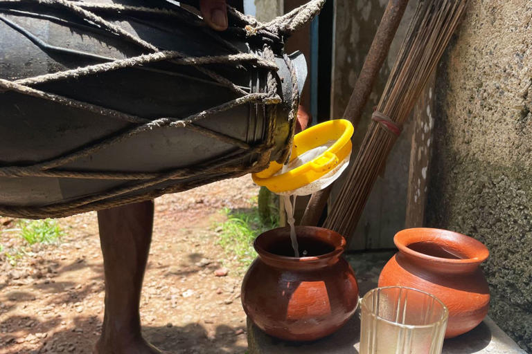 Toddy palm wine: The delicate coconut sap drink finding a new ...