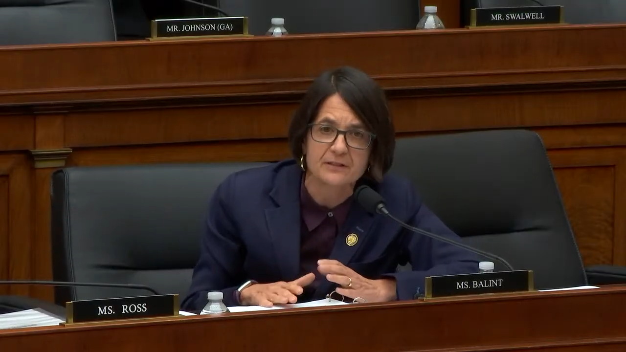 'You're valuing some lives more than others': Rep. Becca Balint shames ...