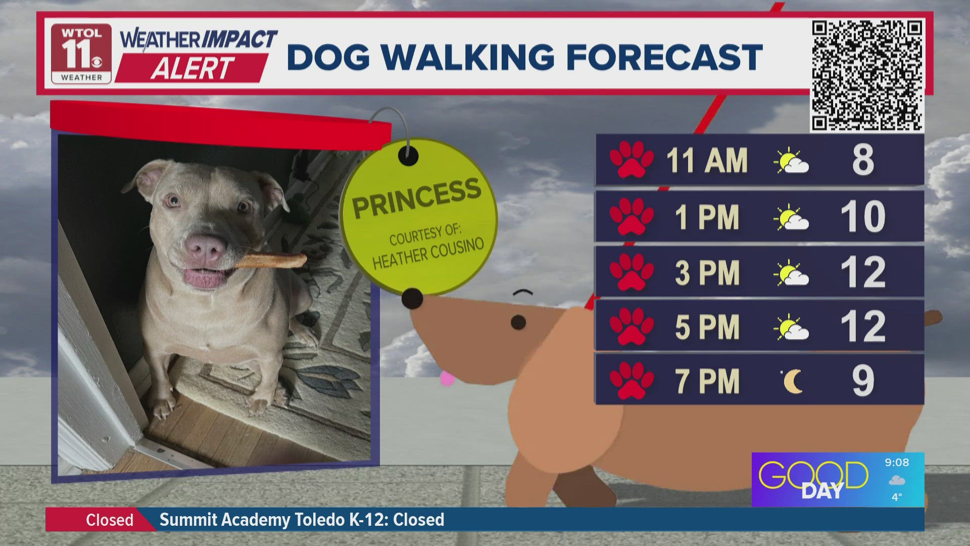 Weather impact alert day: Dangerously cold, 'red paw' dog walking ...