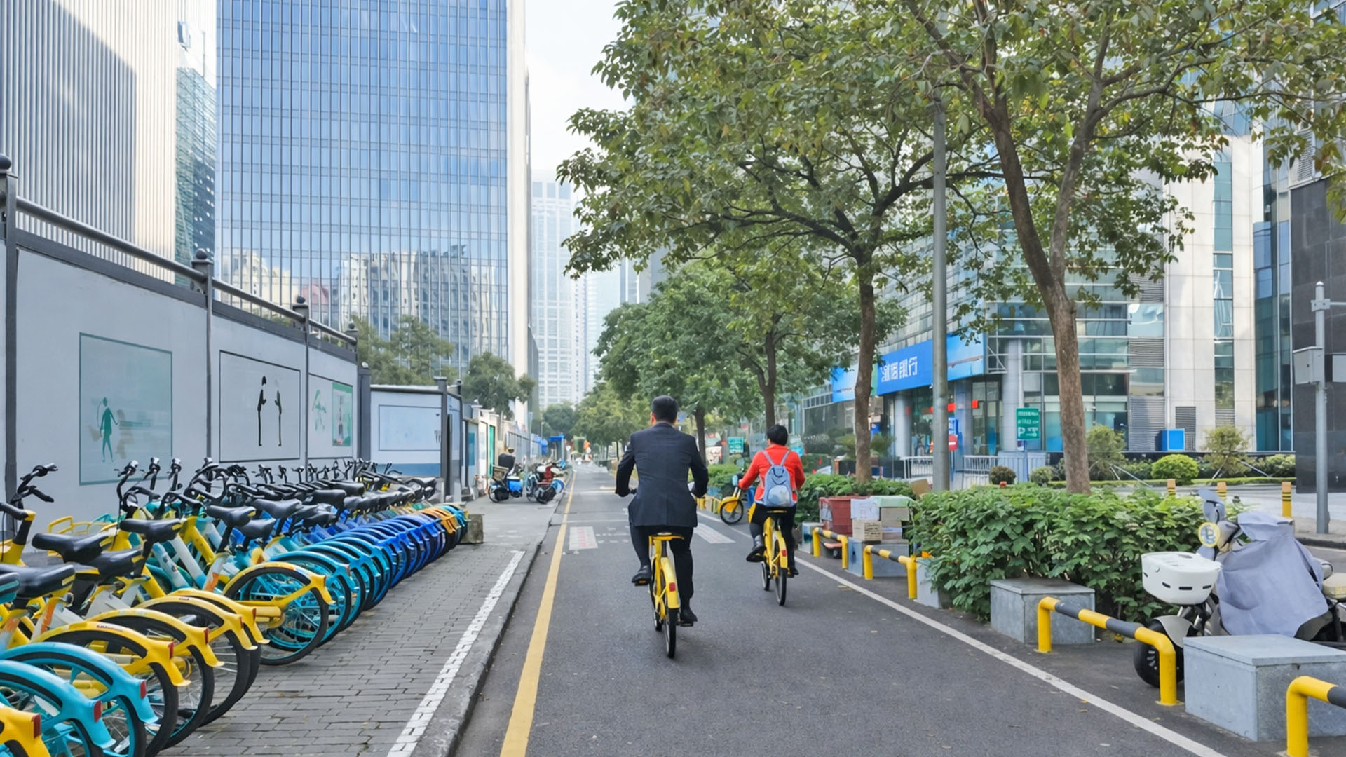 Bikes Line Up Beside City Street Shenzhen