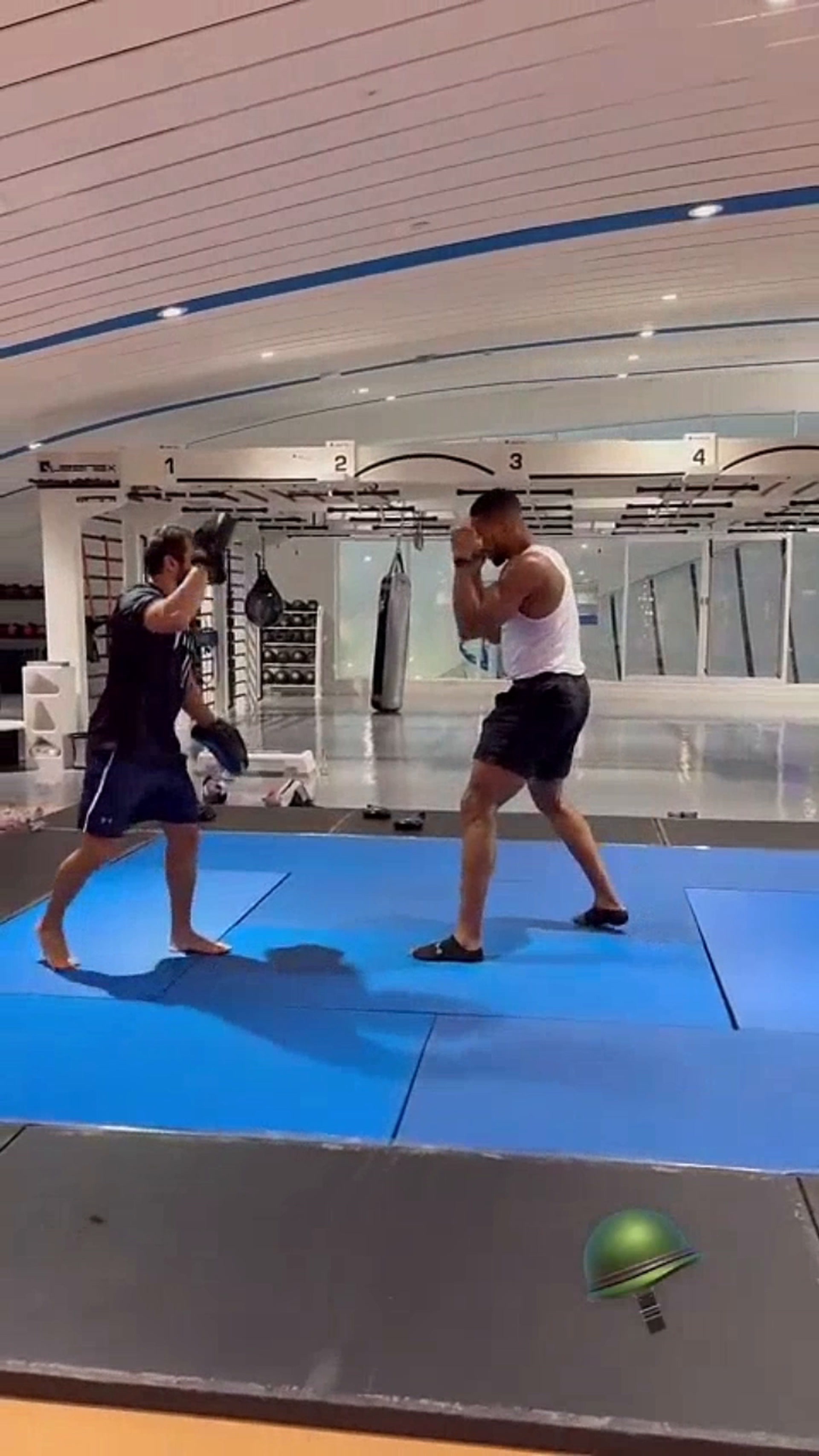 Anthony Joshua returns to the gym following car crash that killed two ...