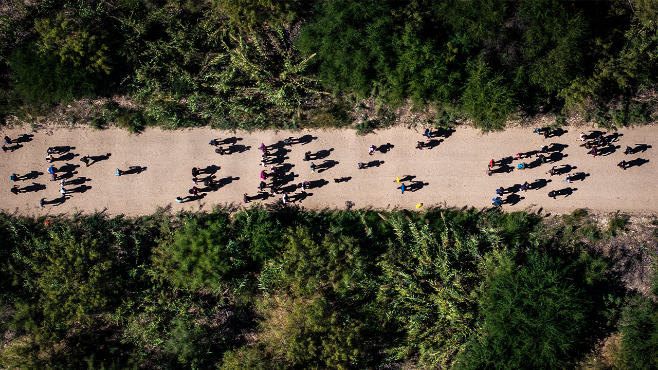 US drug overdose deaths plummet 20% as Trump administration cracks down ...