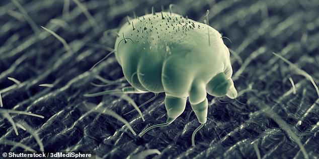 Public health officials issue alert as cases of scabies soar - one ...