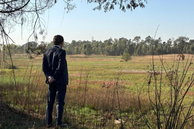 Land expropriation without compensation: Ekurhuleni gets cold feet over ...