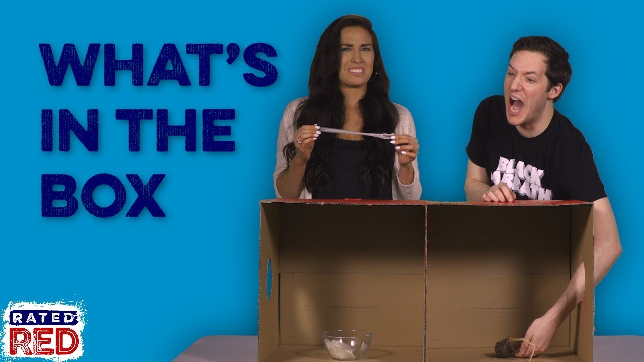 Paxton and Montgomery freak out over whats inside the box