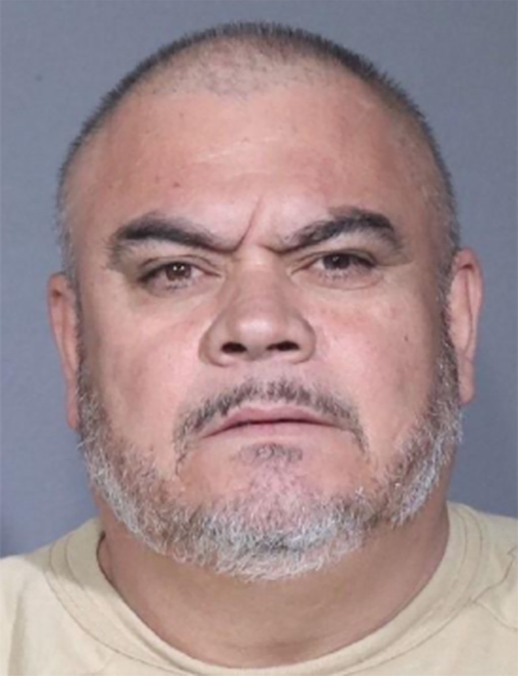 7K illegal immigrant gang members busted in first year of Trump’s ...