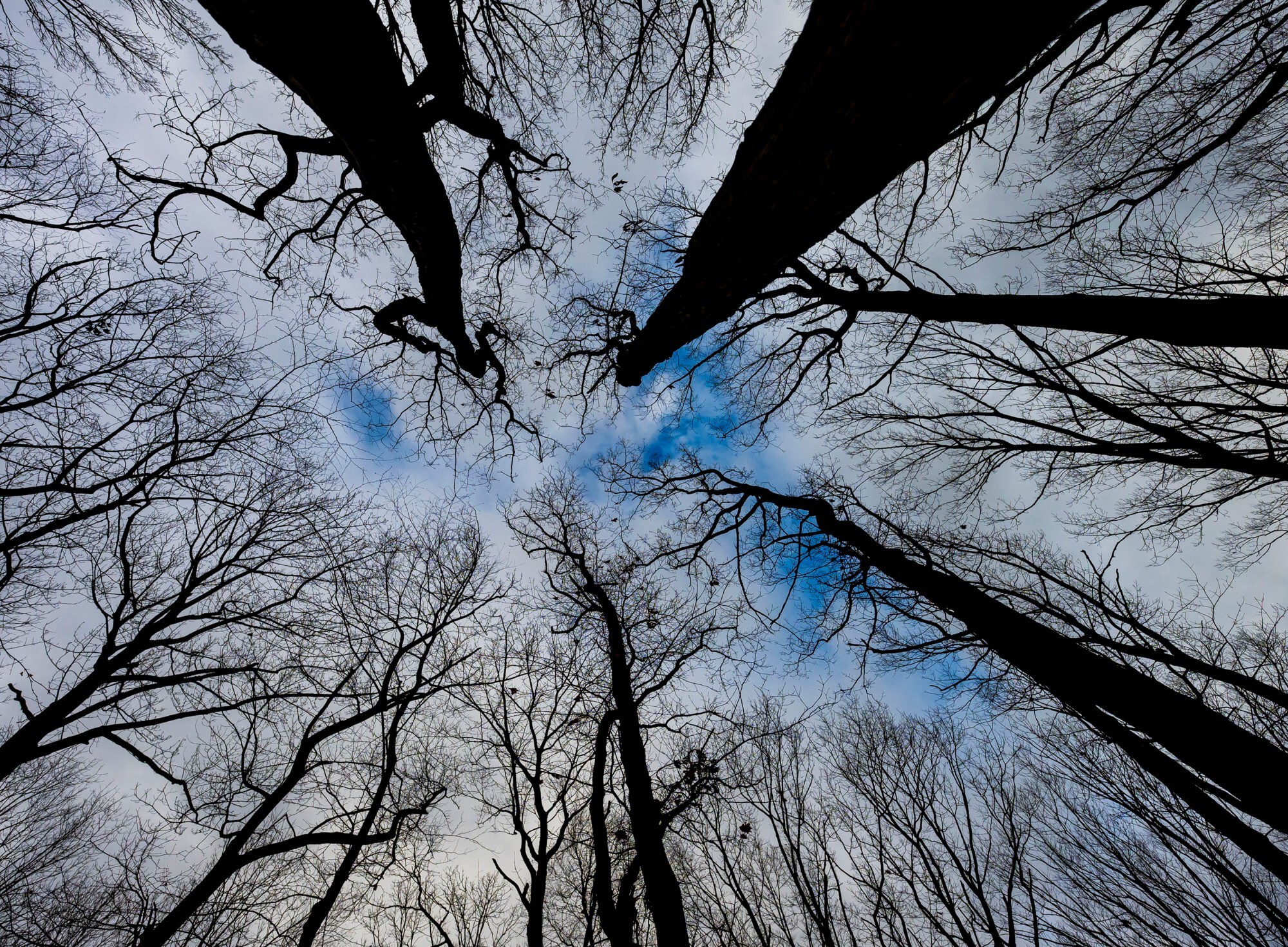 Seeking solitude? Go for a winter hike on these Lehigh Valley trails