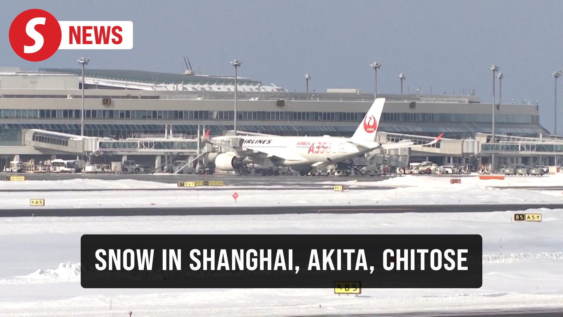 Cold wave brings rare snowfall to Shanghai, disrupts Japan's flights ...