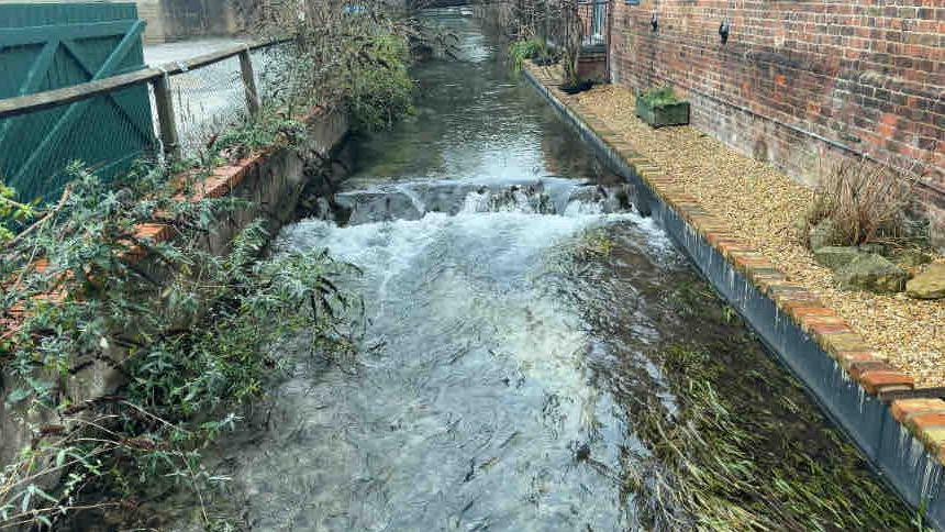 Chalk stream pollution 'came from road run-off'