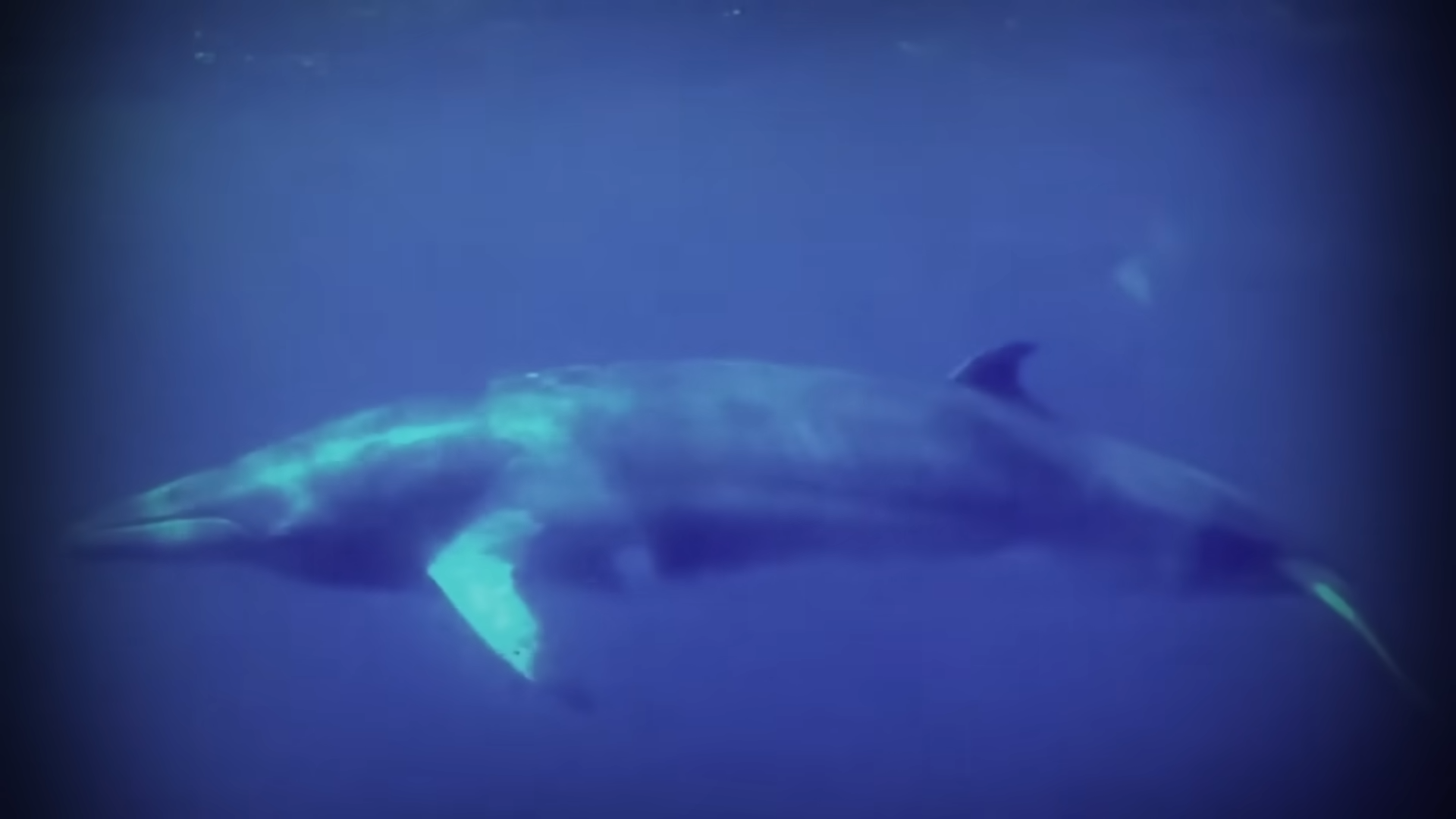 It sounds like the end of the world - but no one knows why