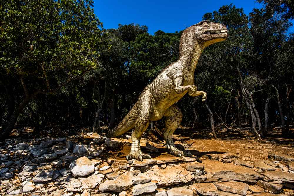 Places in the US to see dinosaur tracks