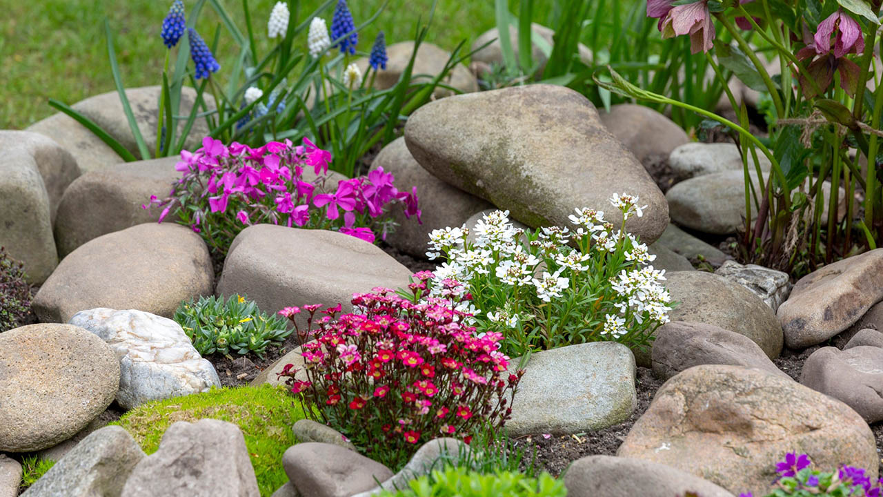 9 Things To Expect For Growing A Rock Garden