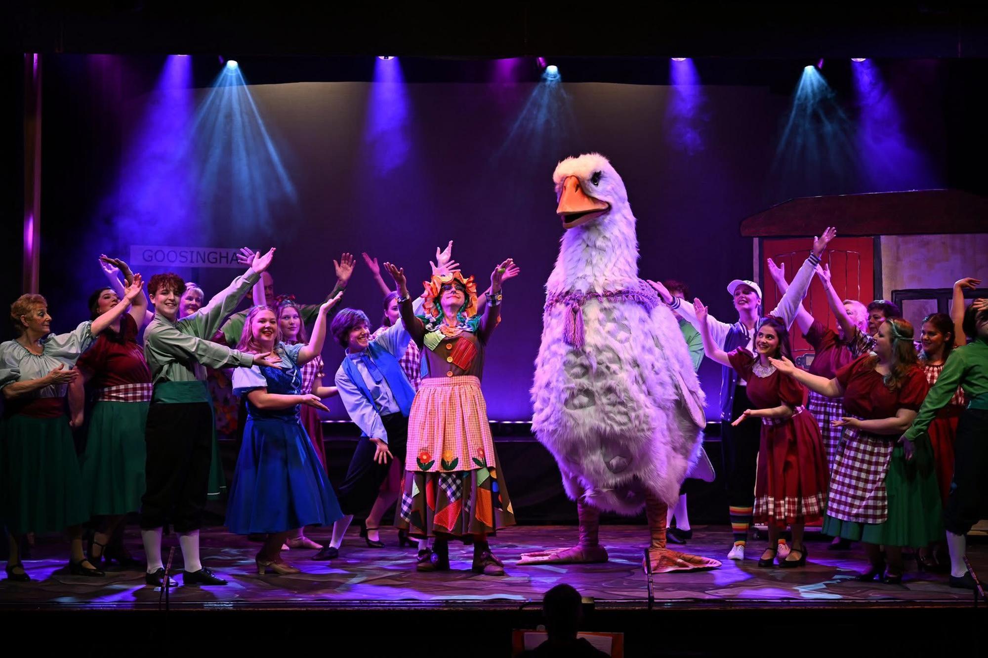 Review: Mother Goose, The Windmill Theatre, Littlehampton 15-18 January ...