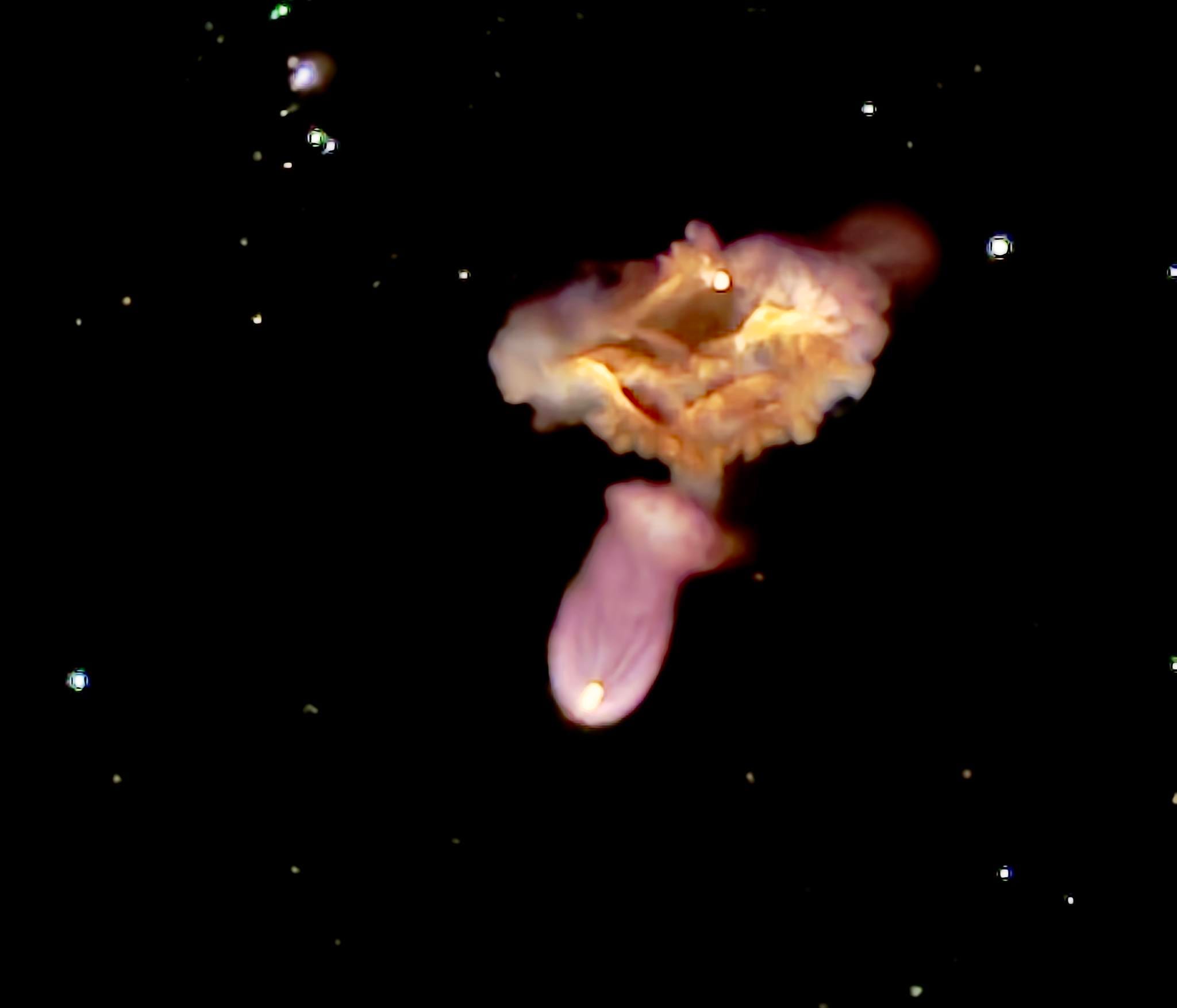 Is there a rocket launch today? Where, when to see liftoff in California