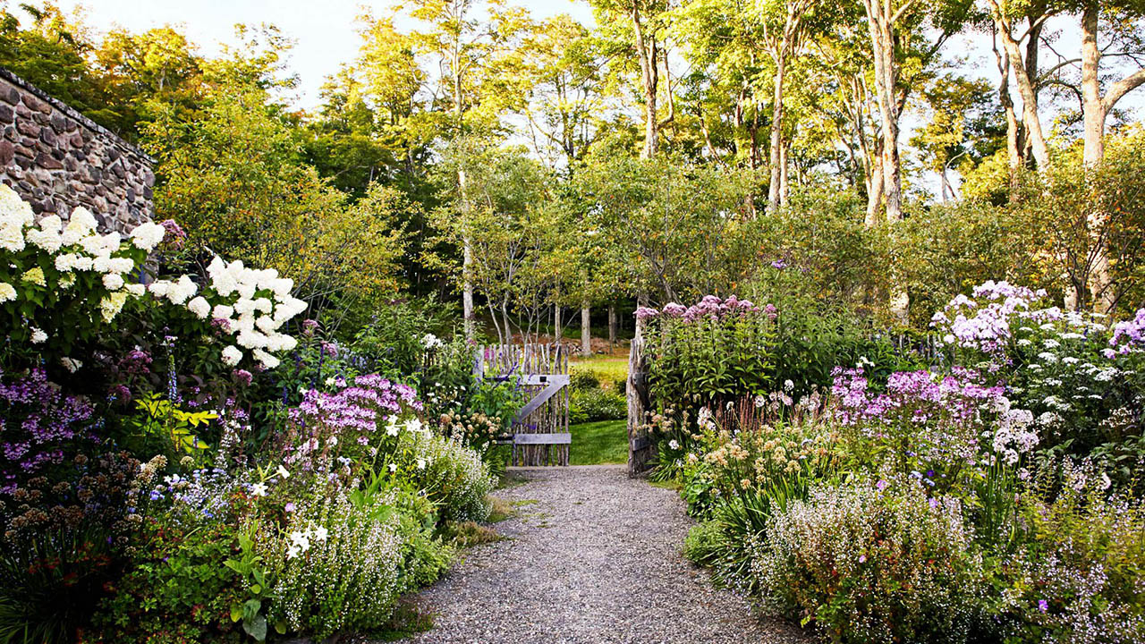 10 best flowers for a farmhouse garden