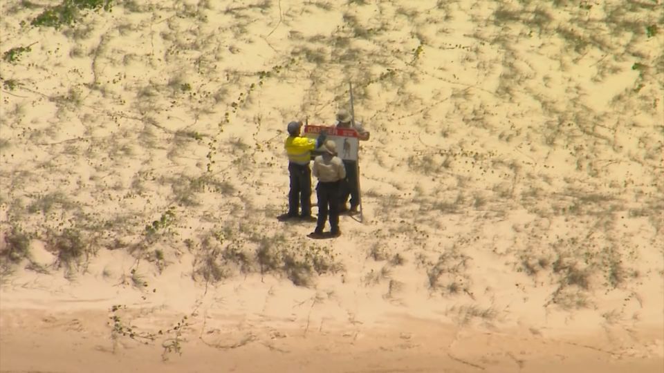 Body of 19-year-old found surrounded by dingoes