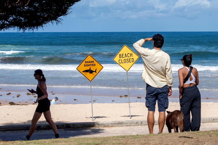 Australia ramps up drone patrols after string of shark attacks