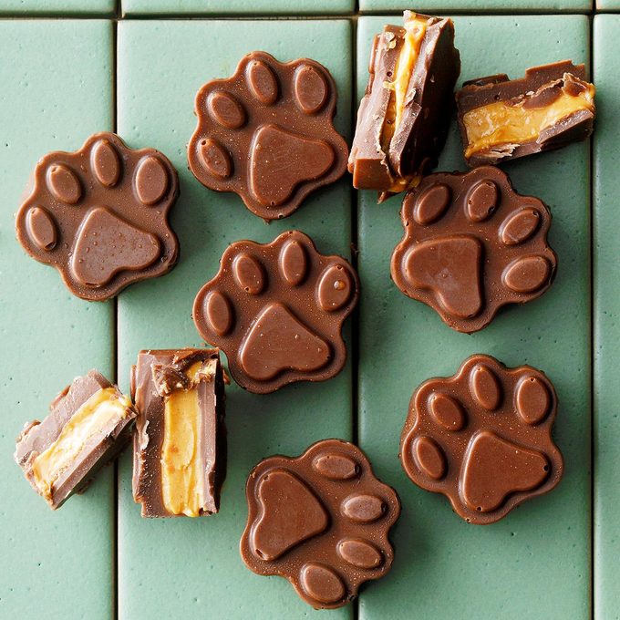 12 homemade dog treat recipes