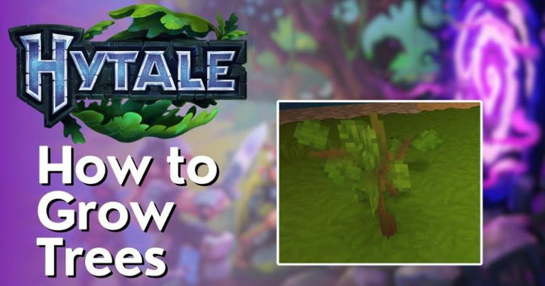 Hytale tree regrowth guide: crafting saplings & farming wood