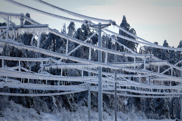 Texas electric grid update as millions warned of power outages