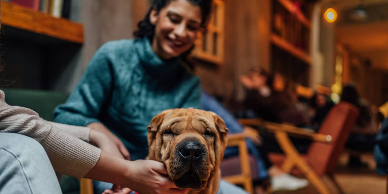 I’m moving cross country and want to fly my dog on a private jet. Is ...