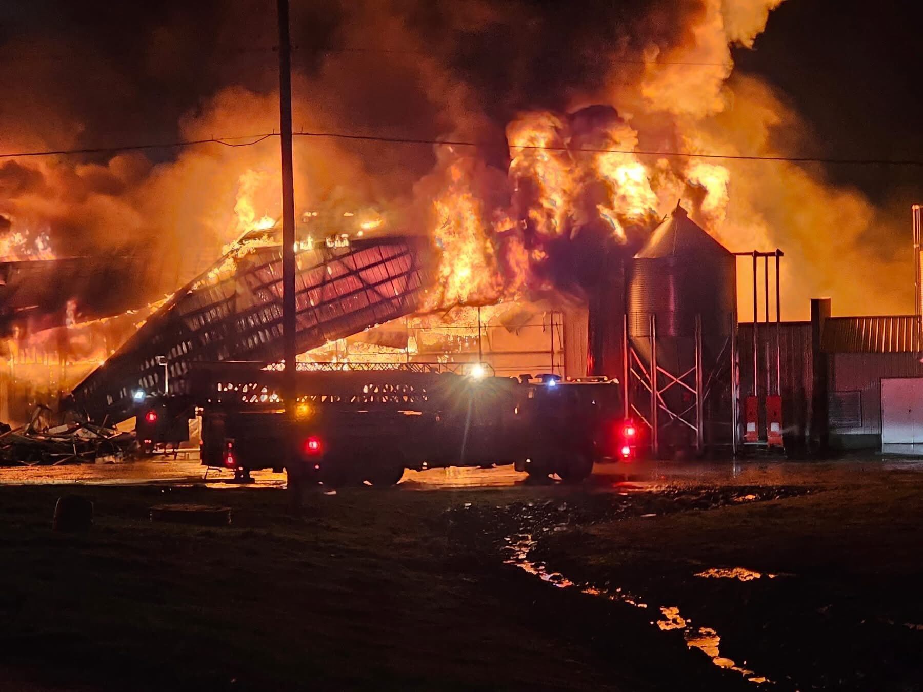 Up to 86,000 chickens killed in western North Carolina poultry farm fire