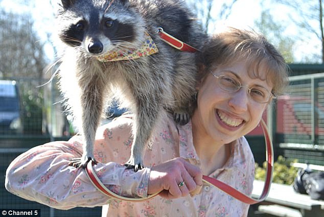 Meet the world's smartest animals - as a cow with extraordinary ...