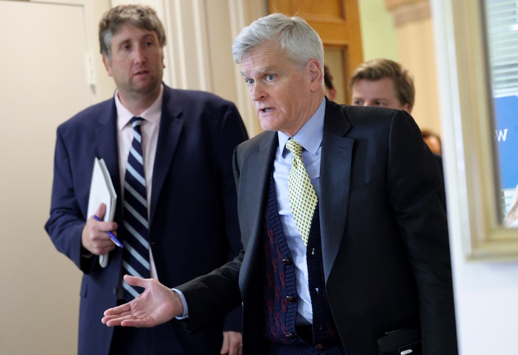 Rep. Julia Letlow challenges Sen. Bill Cassidy for Senate in wake of ...