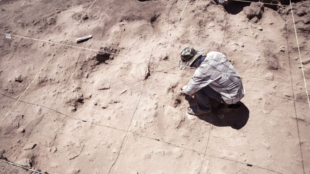 British archaeologists unearth major 6th- or 7th-century discovery of ...