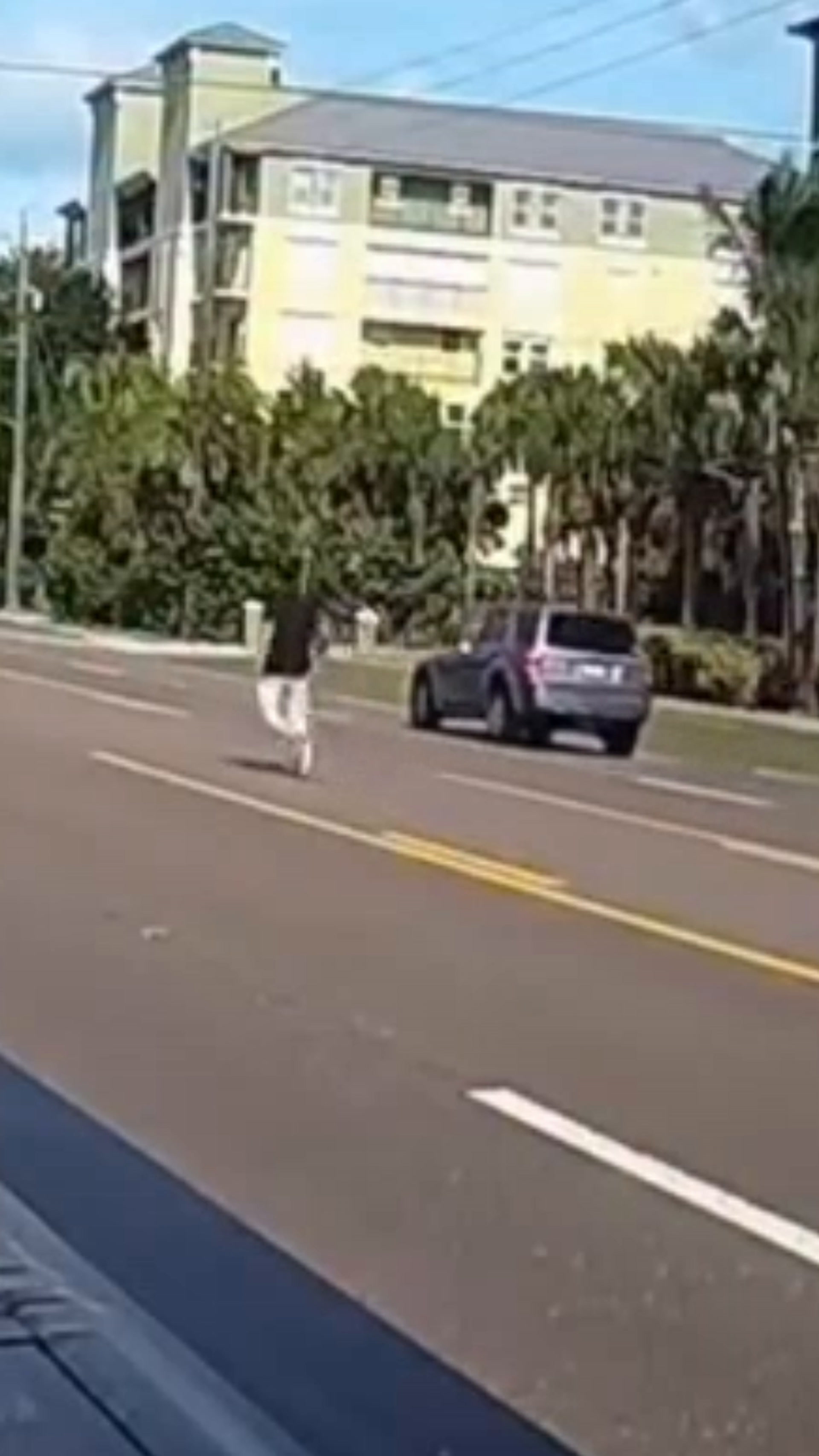 Heart-stopping moment hero rescues toddlers from middle of Florida street