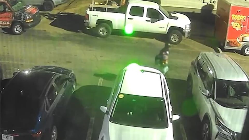 Watch: Police link theft suspect to 11 cases after chase in Gwinnett