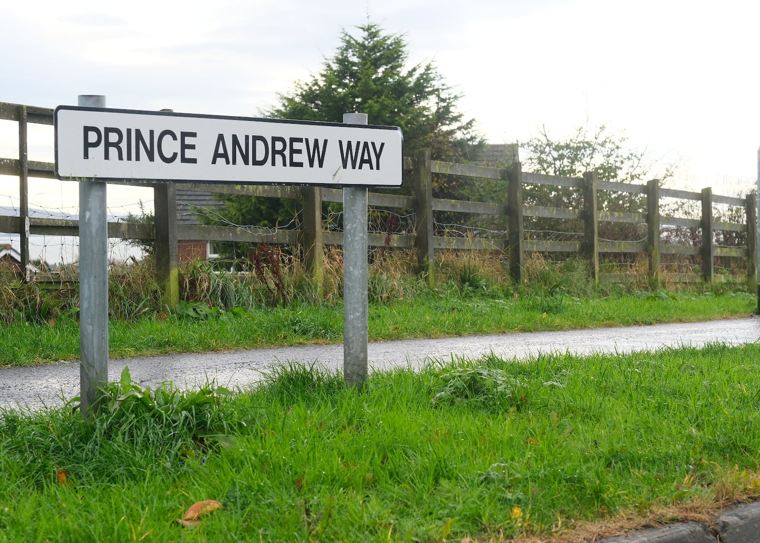 Mid and East Antrim Council to press ahead with renaming of Prince ...