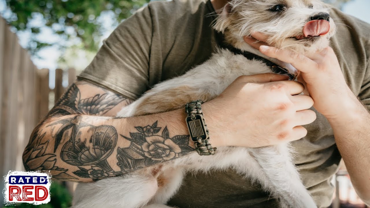 How to make a difference today for both dogs and veterans