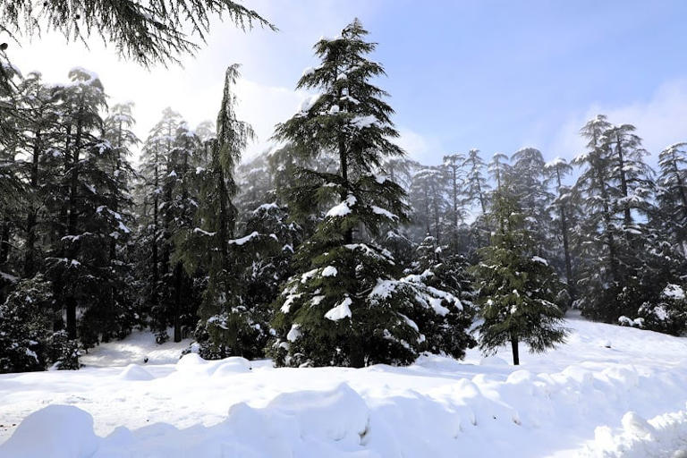 Morocco issues orange weather alert for snowfall and thunderstorms