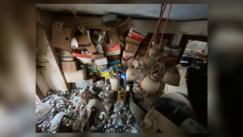 33 animals rescued from filth, darkness, neglect; man arrested