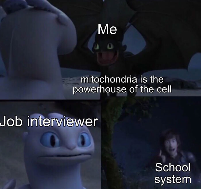 40 funny school memes that perfectly capture classroom struggles