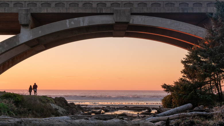 Oregon's stunning state park offers a peaceful coastal escape with ...