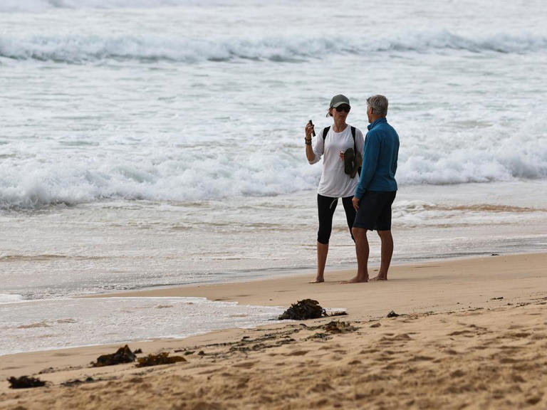 'Asleep': Family break silence on shark attack
